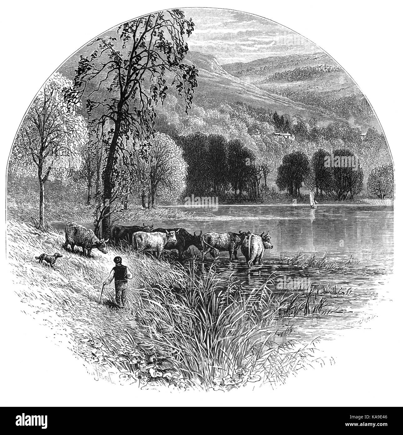 British farmer water Black and White Stock Photos & Images - Alamy