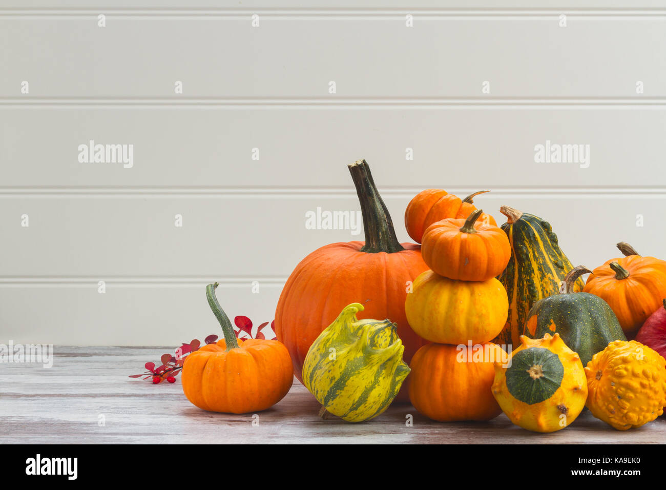 pumpkins on table Stock Photo - Alamy