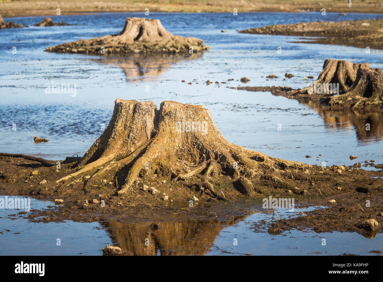 Sunny riverside landscape of a dried river bed and rocks. Stone ...