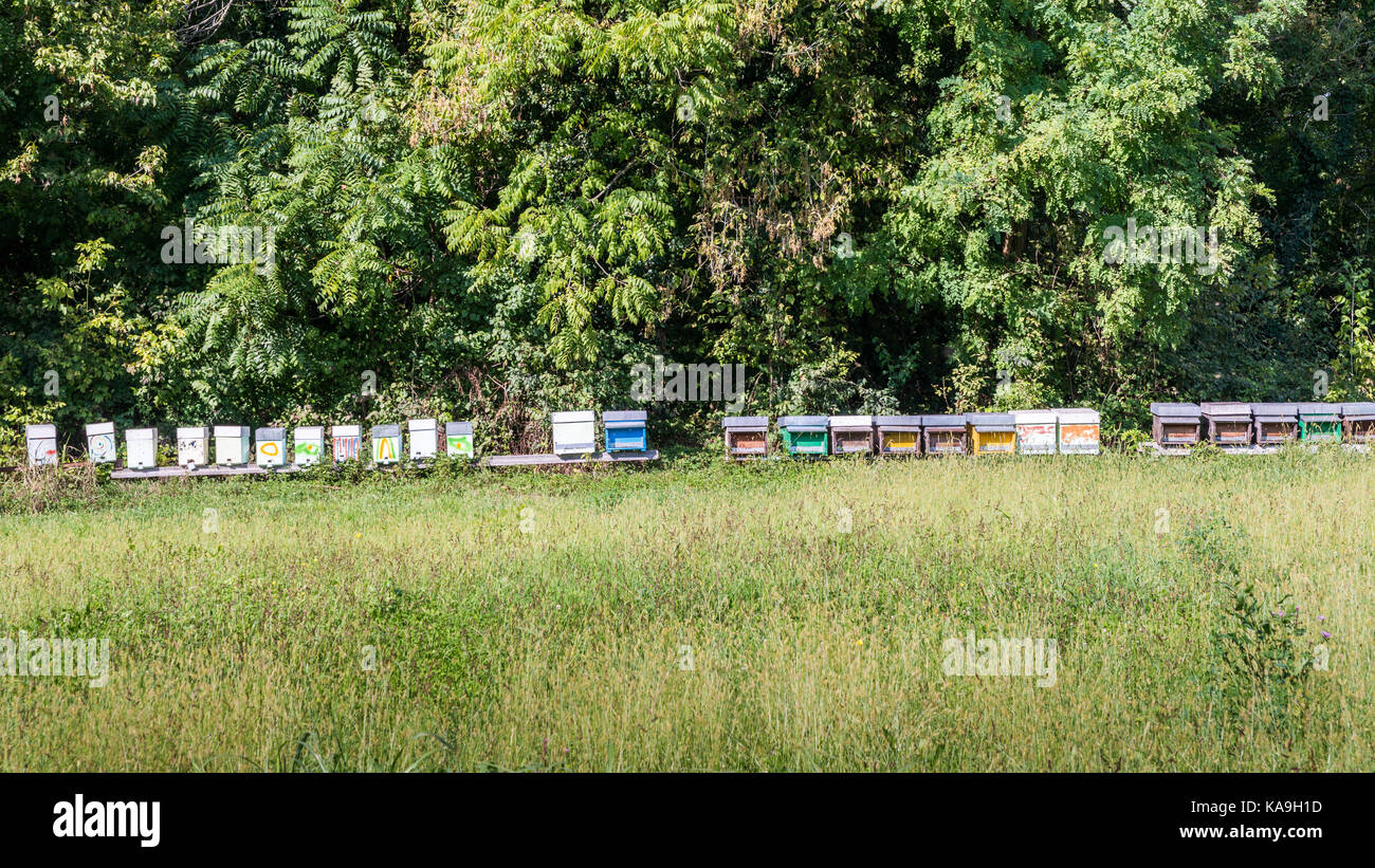 Colourful beehive boxes Stock Photo - Alamy