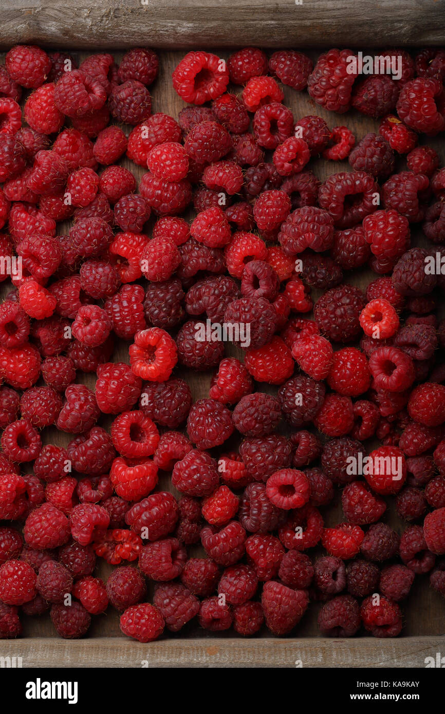Dark red raspberries background, food top view Stock Photo - Alamy
