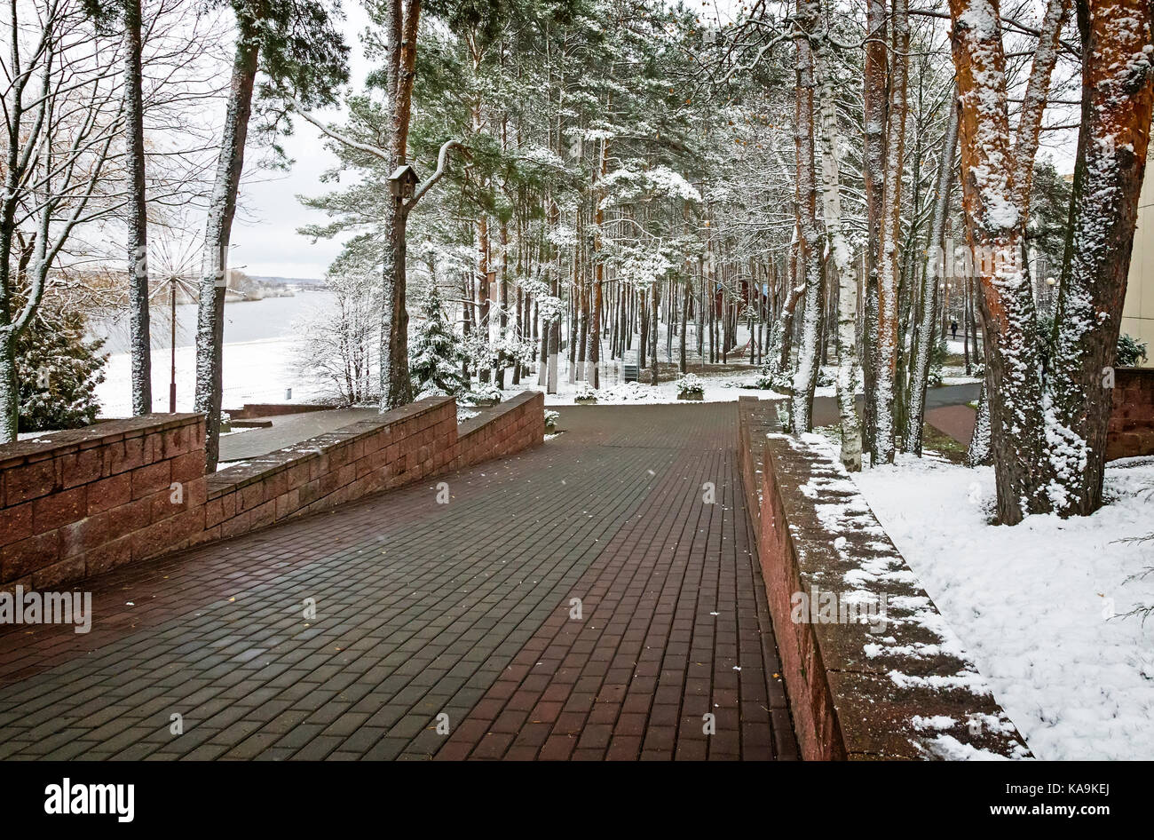 In the Park on the ground and the trees lies the snow. Reference ...