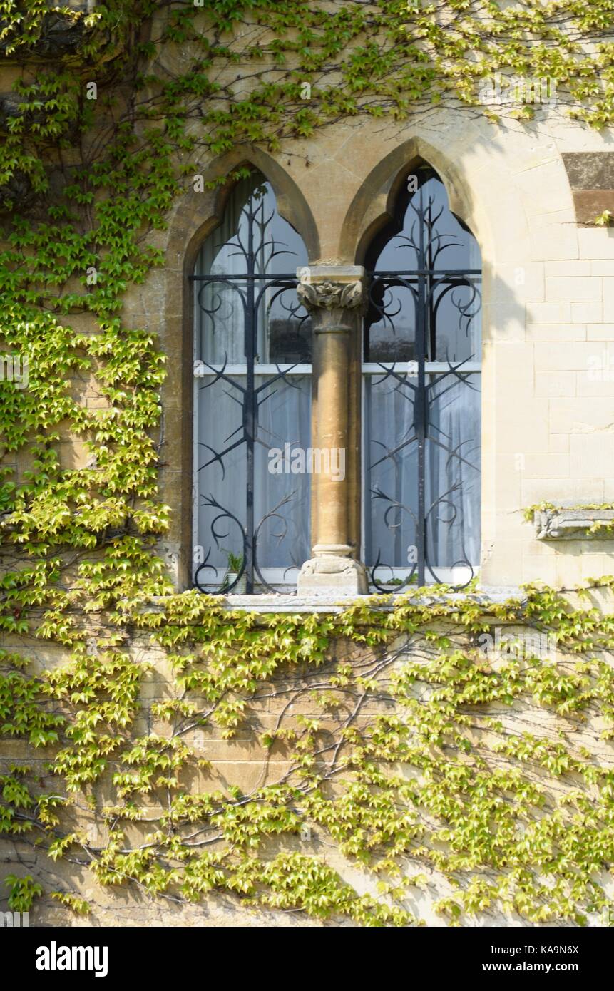 Ivy surrounding old arched window Stock Photo - Alamy