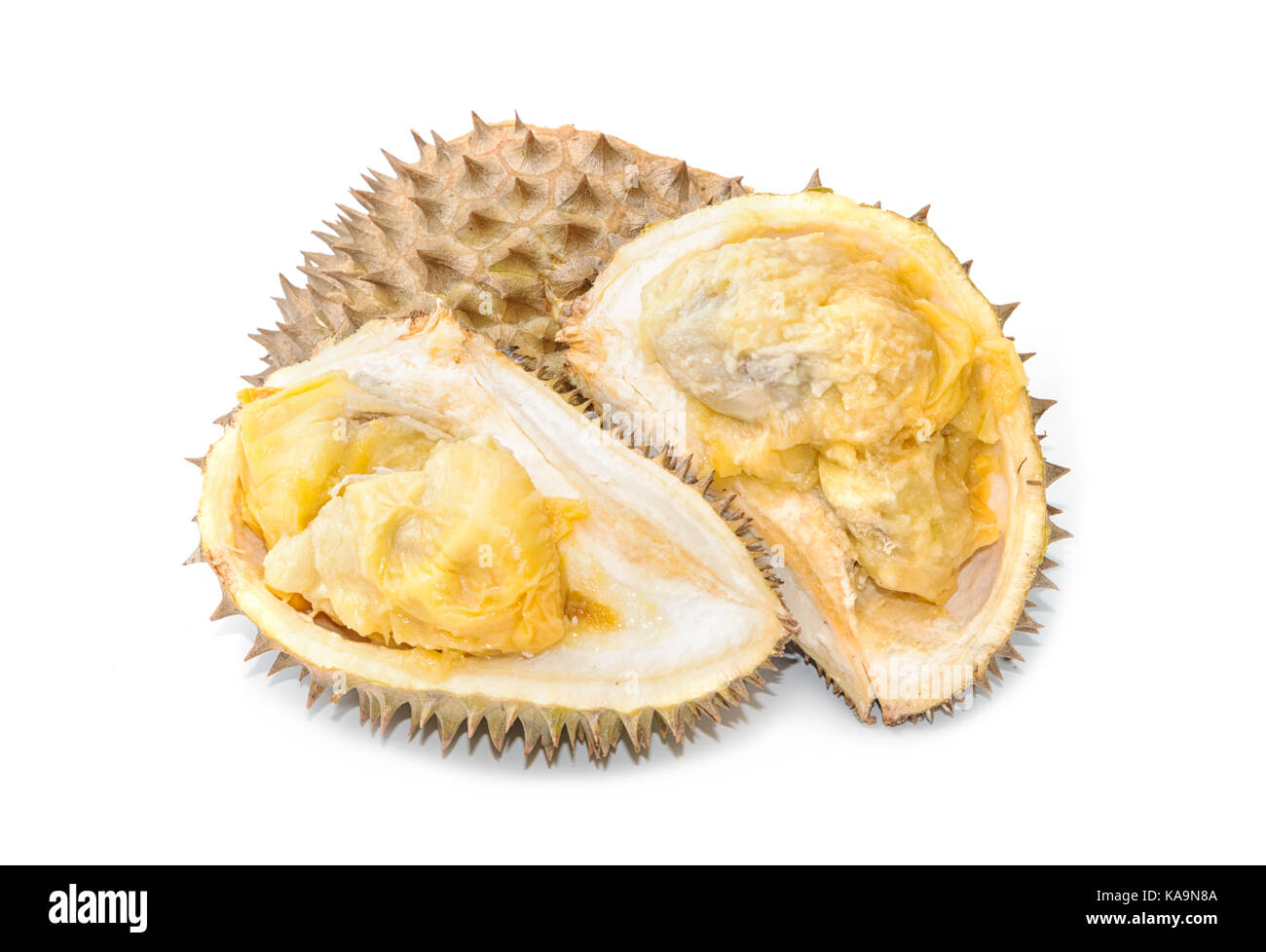 Rotten durian fruit isolate on white Stock Photo - Alamy
