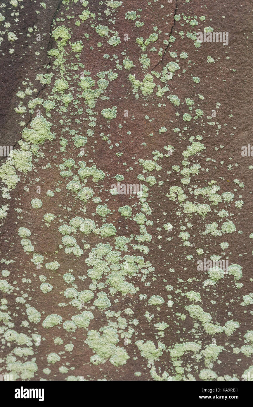 Texture of an old tombstone to be used as an overlay, background, or ...