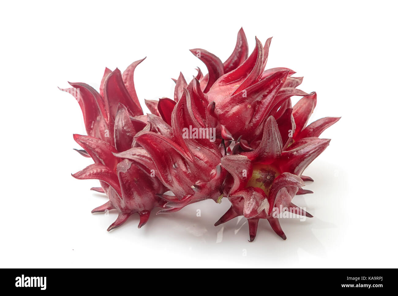 Roselle fruits, isolated on white Stock Photo - Alamy