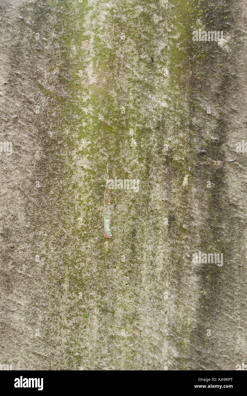 Texture of an old tombstone to be used as an overlay, background, or ...