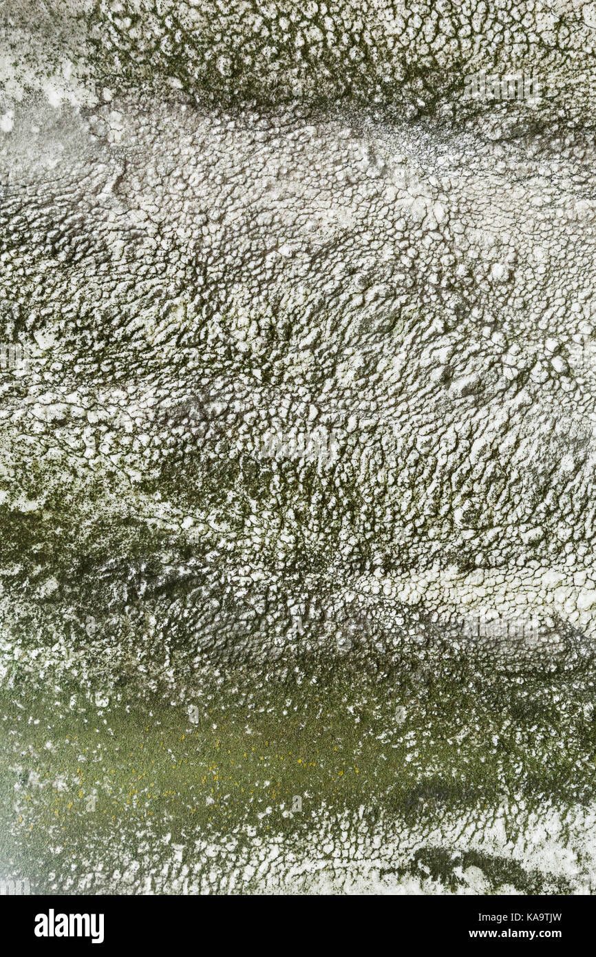 Texture of an old tombstone to be used as an overlay, background, or ...