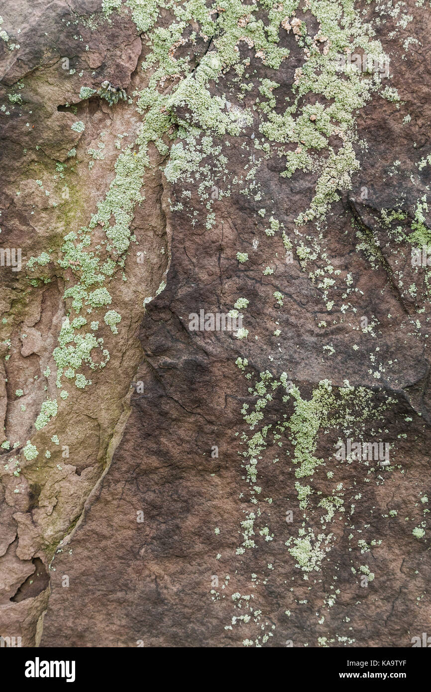 Texture of an old tombstone to be used as an overlay, background, or ...