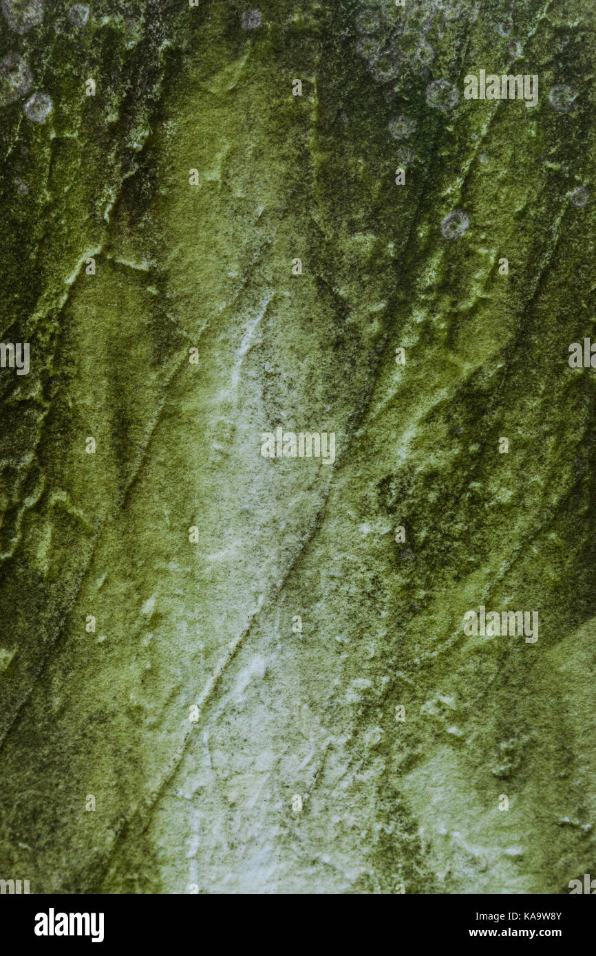 Texture of an old tombstone to be used as an overlay, background, or ...