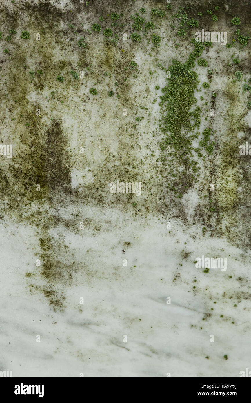 Texture of an old tombstone to be used as an overlay, background, or ...