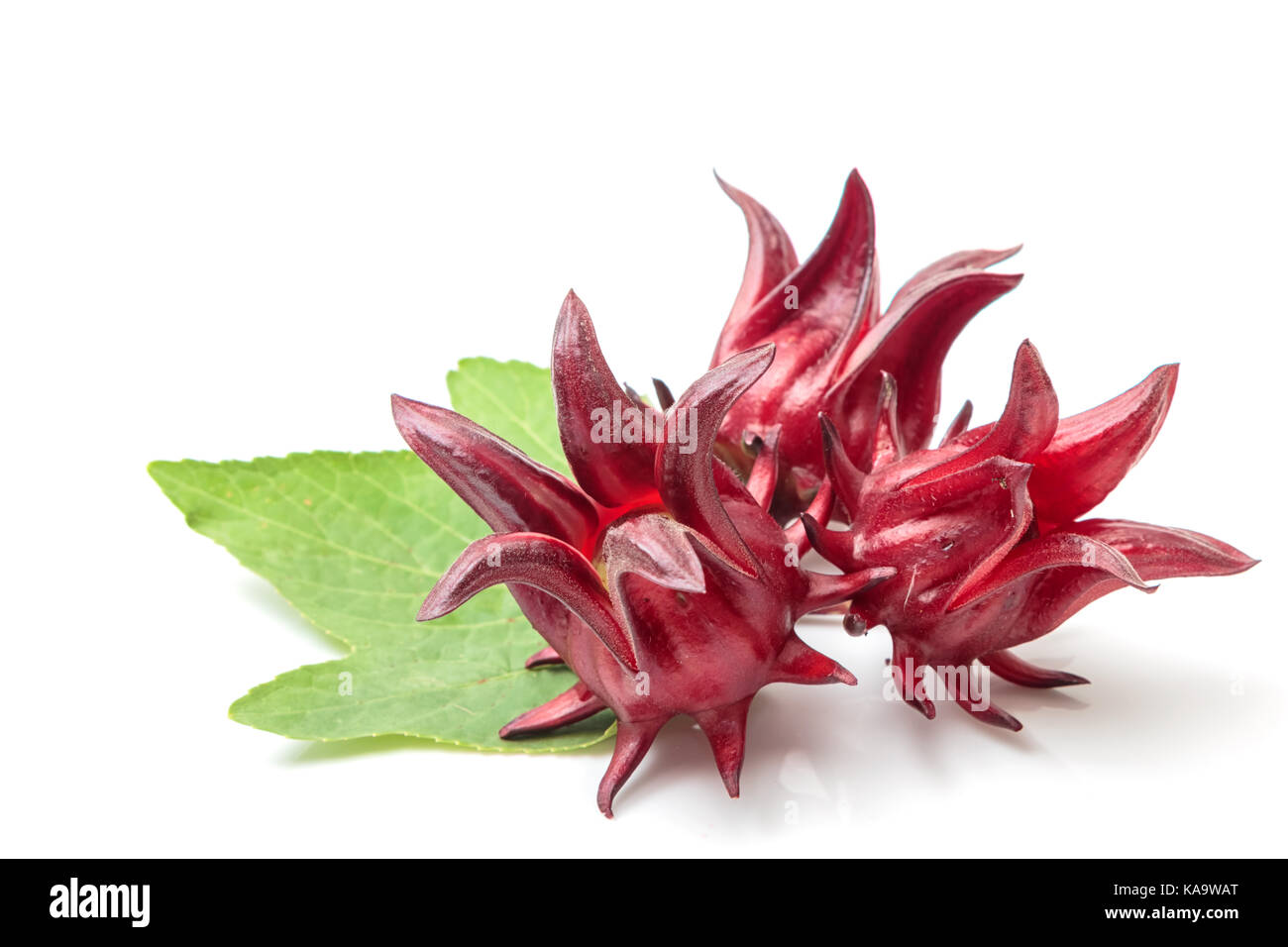 Roselle fruits, isolated on white Stock Photo - Alamy