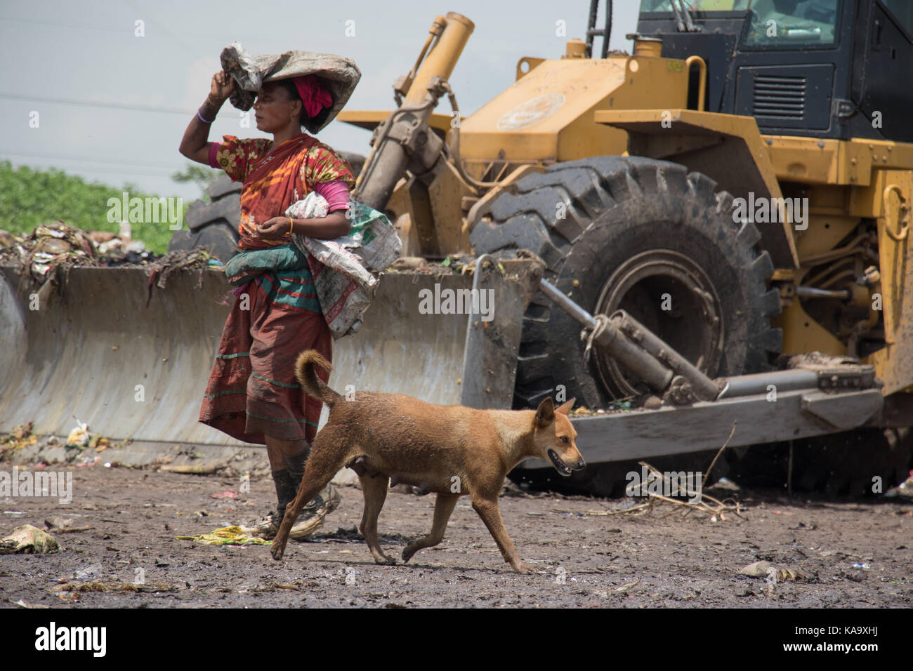 Life in garbage Stock Photo - Alamy