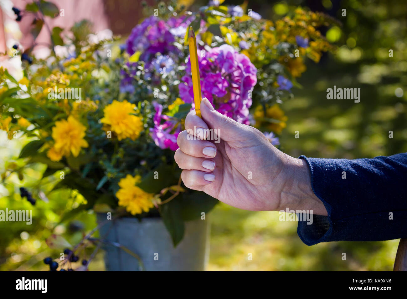 Female artist measuring proportions with pencil, a bunch of beautiful ...