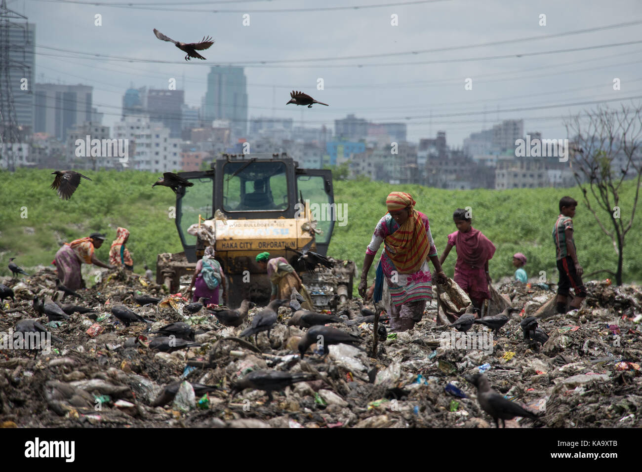 Life in garbage Stock Photo - Alamy