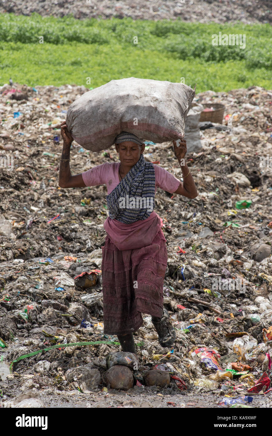 Life in garbage Stock Photo - Alamy