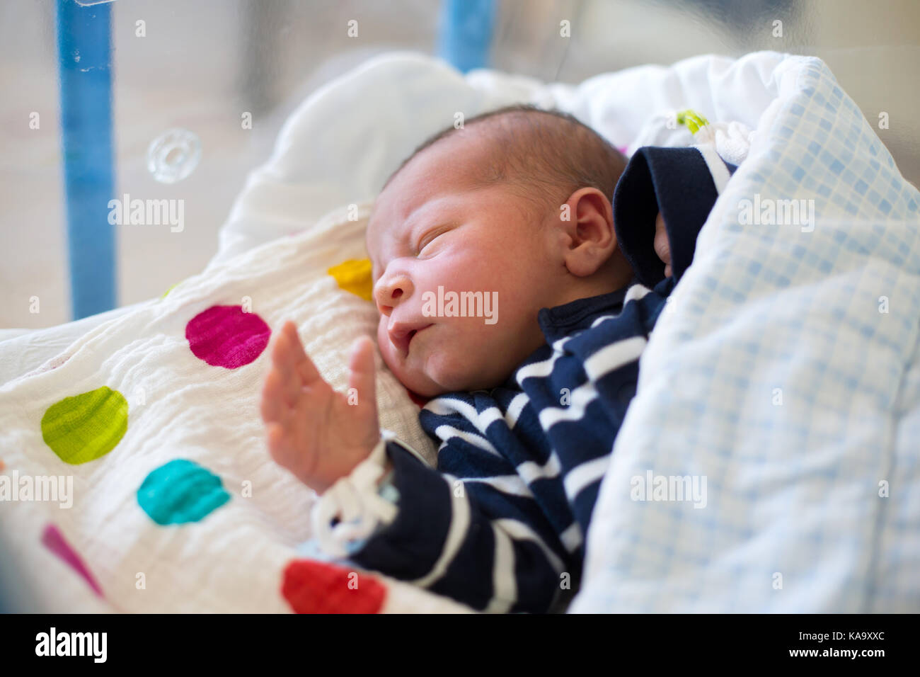 Beautiful newborn baby boy, laying in crib in prenatal hospital Stock Photo - Alamy