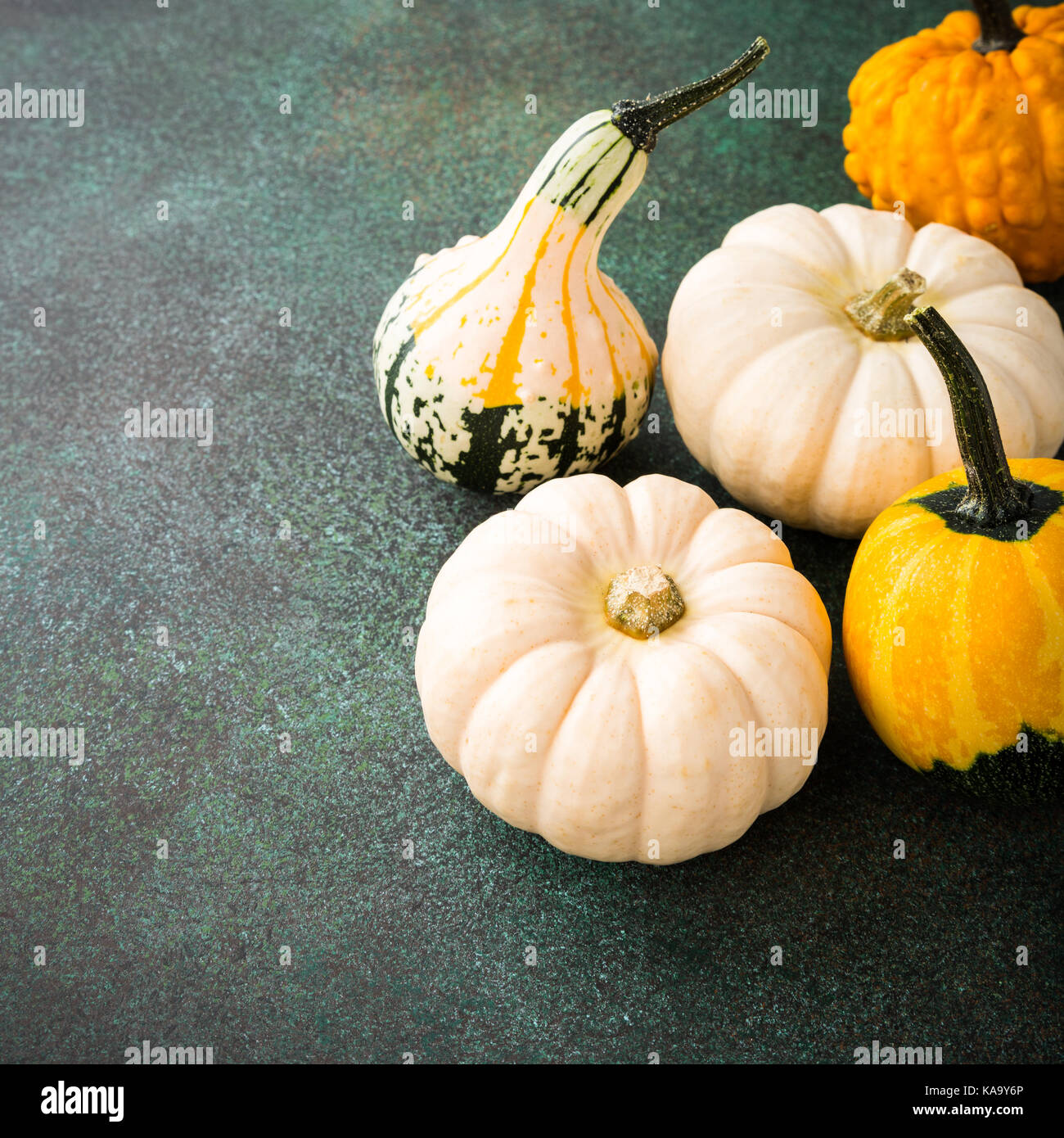 Diverse assortment of pumpkins Stock Photo - Alamy