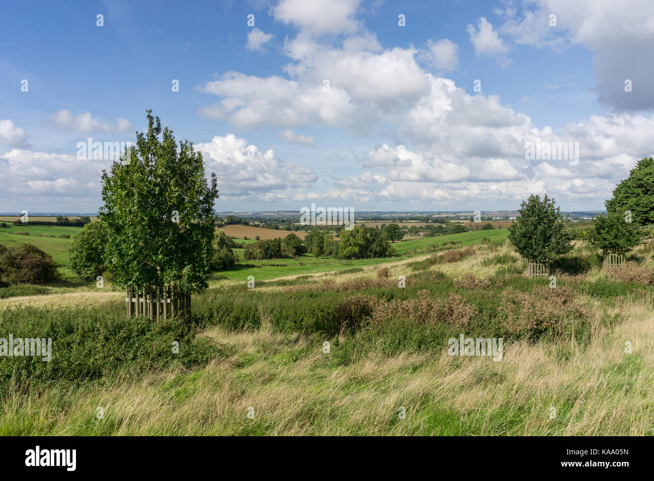 Countryside trees scenic scenery views view hi-res stock photography ...