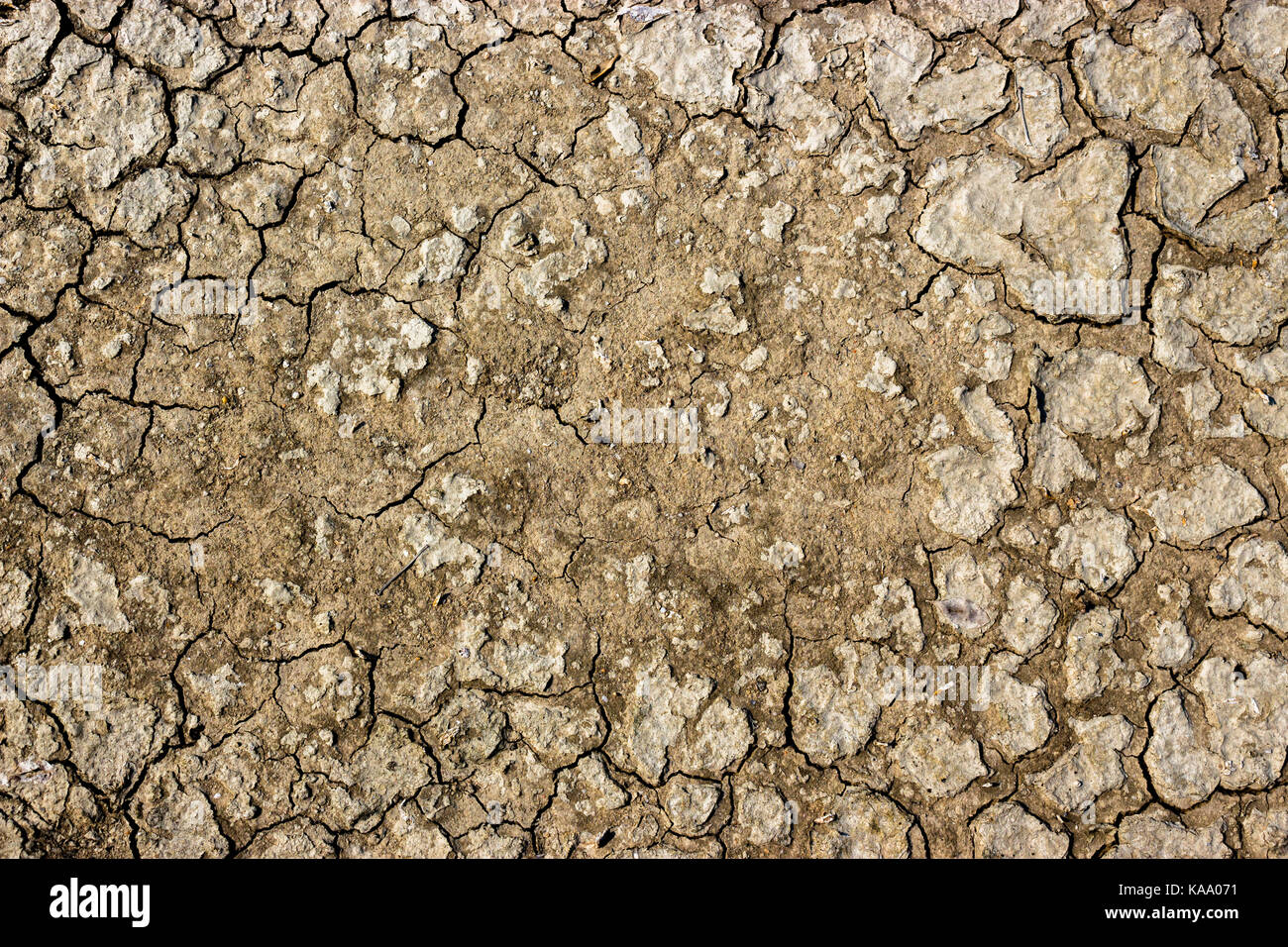 textured ground the background Stock Photo - Alamy