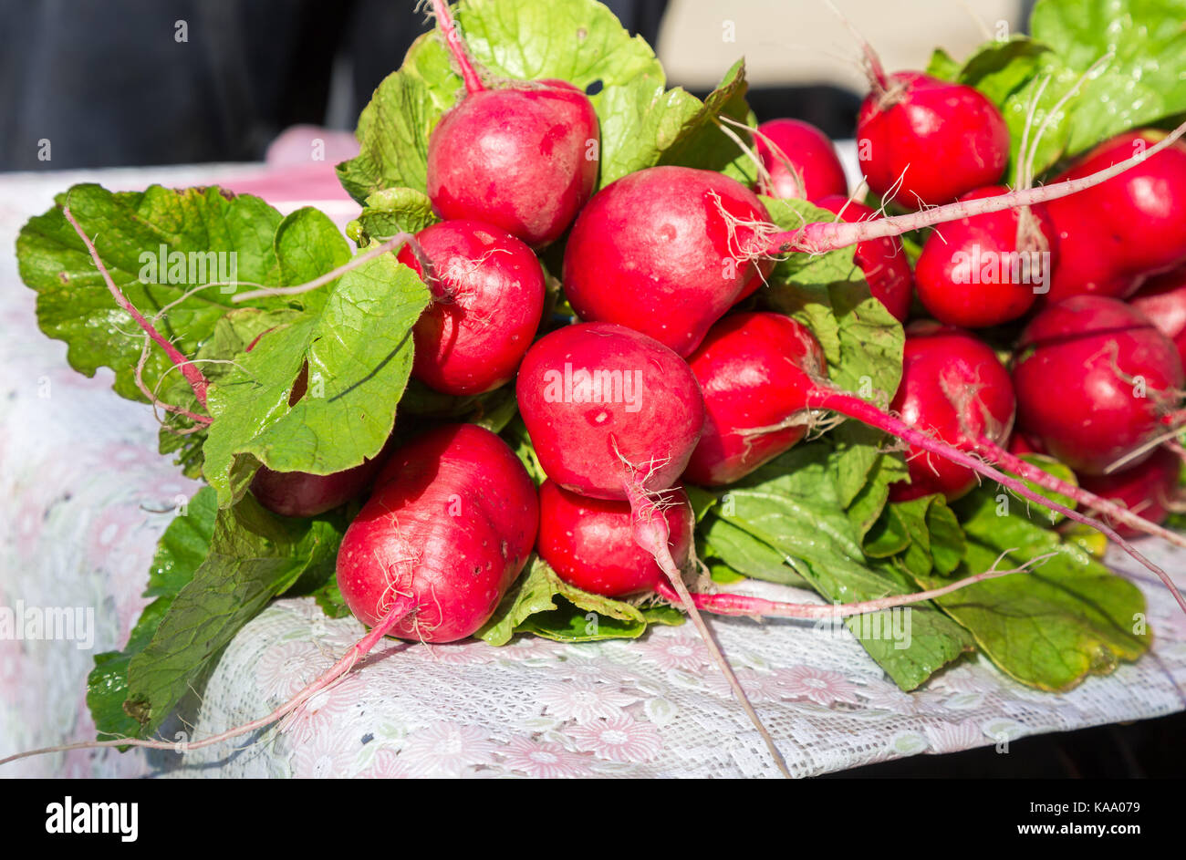 Agriculture harvested fresh organic radish with green leaves Stock ...