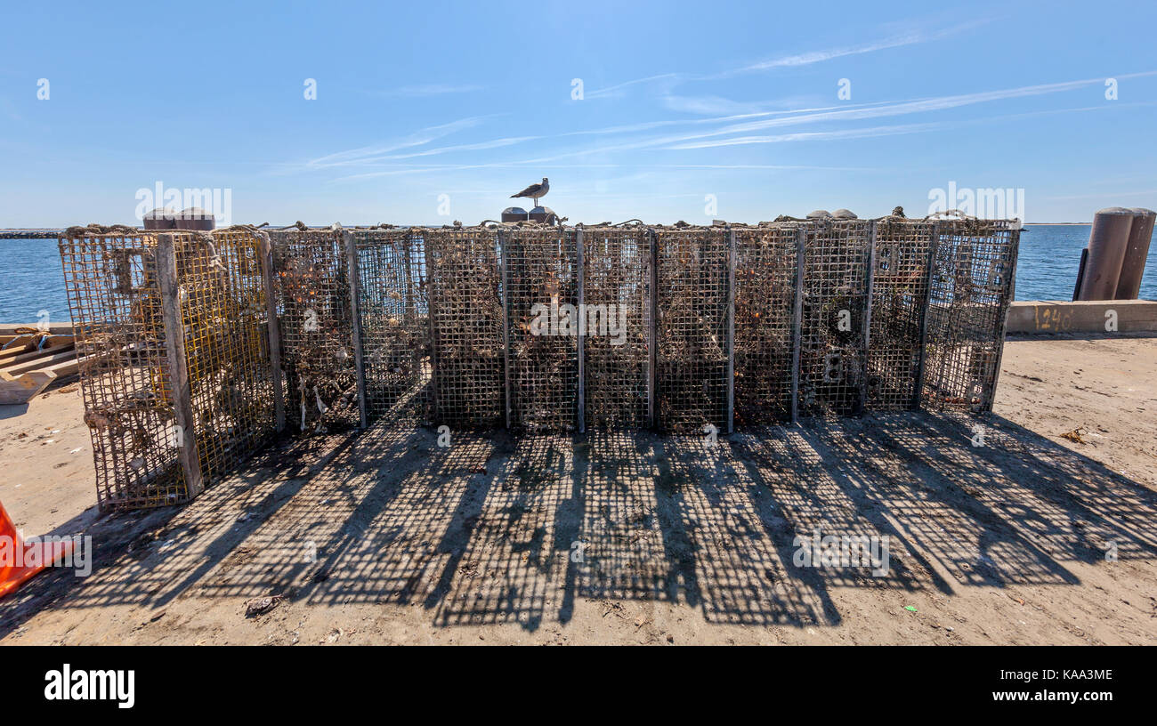 Fish farming cages hi-res stock photography and images - Alamy