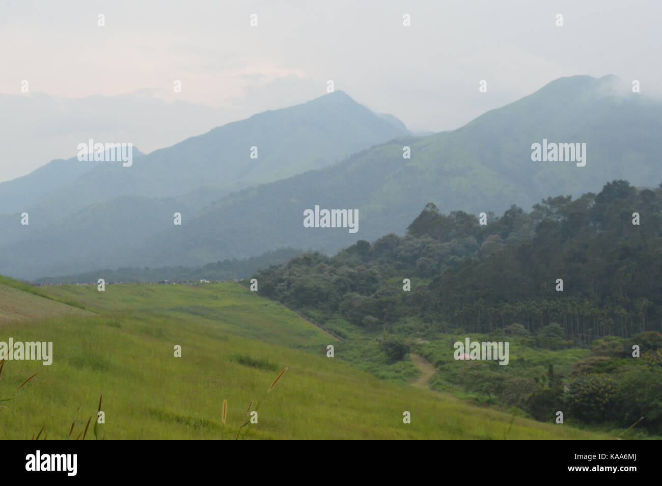 Wayanad kerala hi-res stock photography and images - Alamy