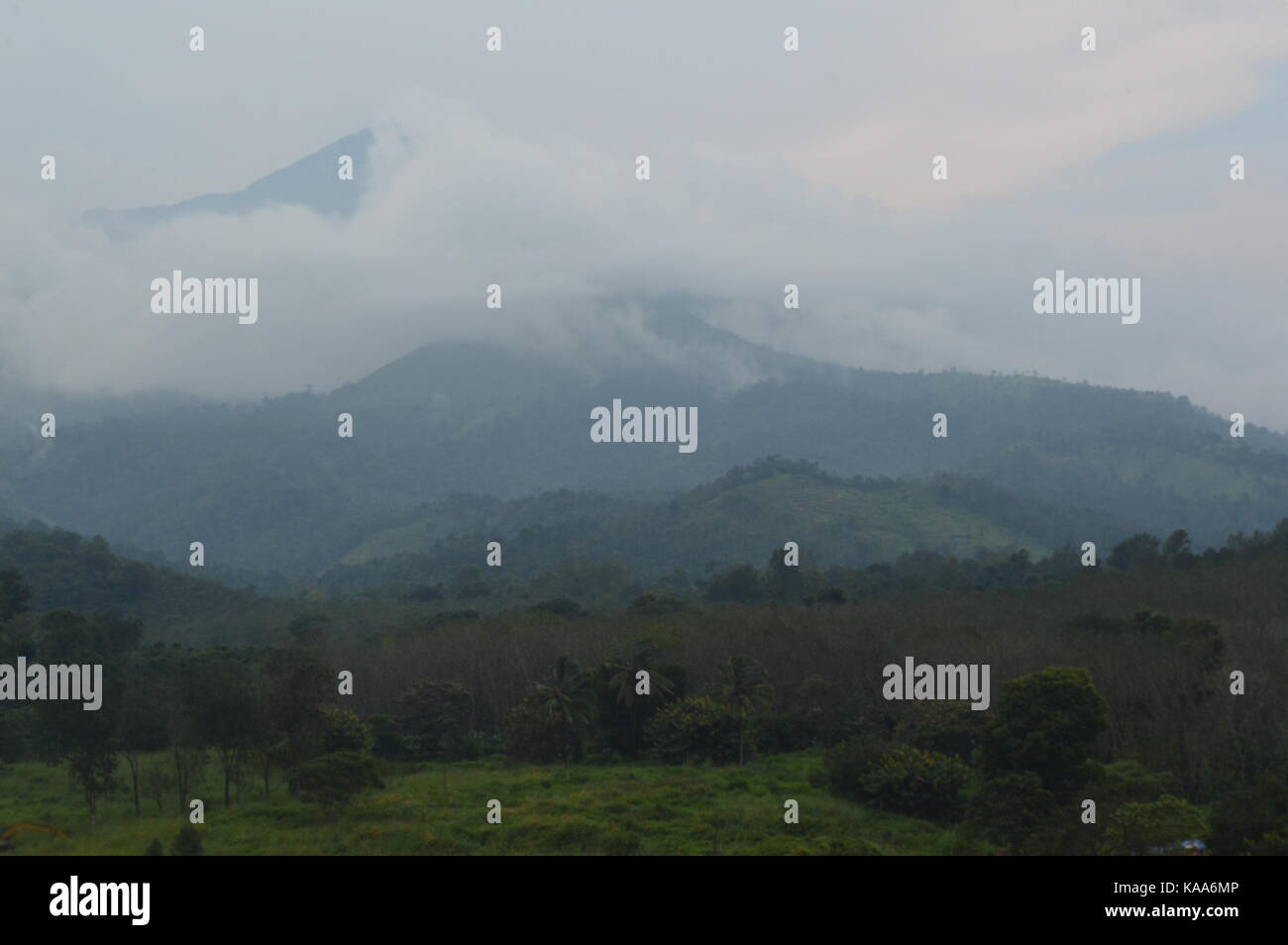 Wayanad, Kerala, India Stock Photo - Alamy