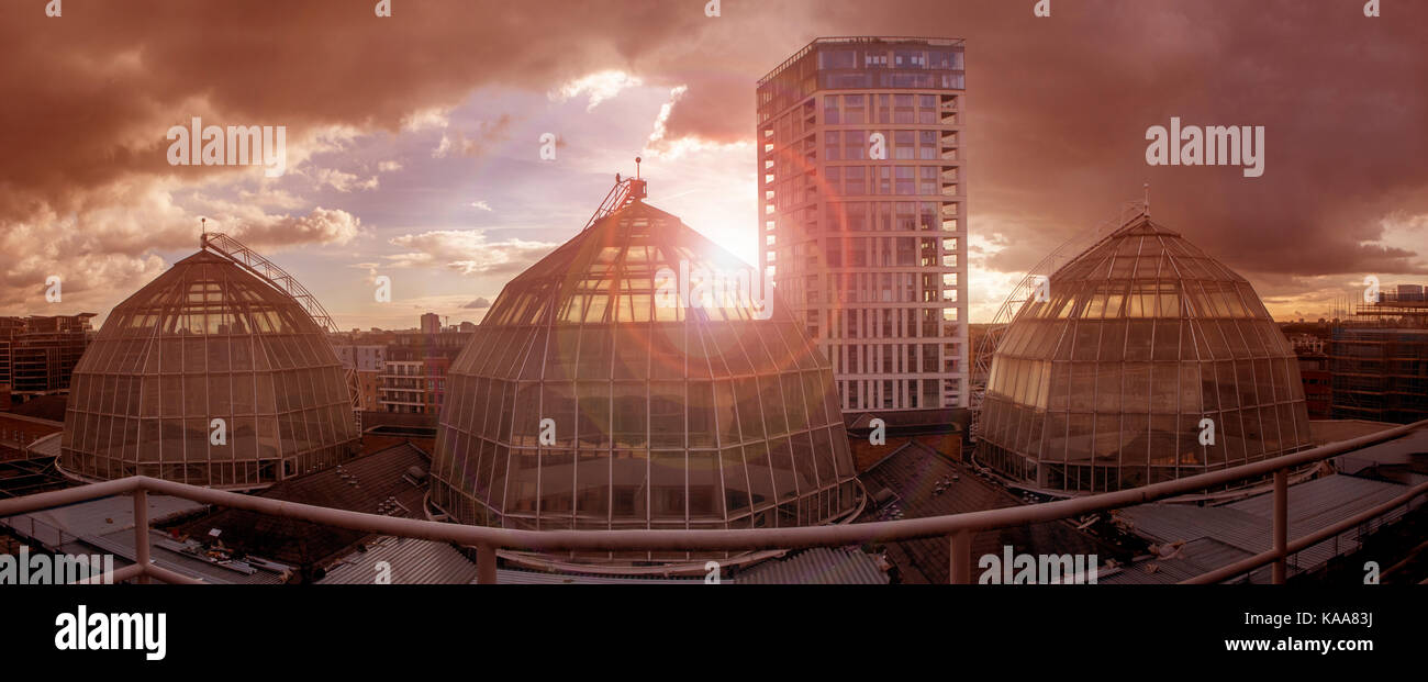 Chelsea map hi-res stock photography and images - Alamy