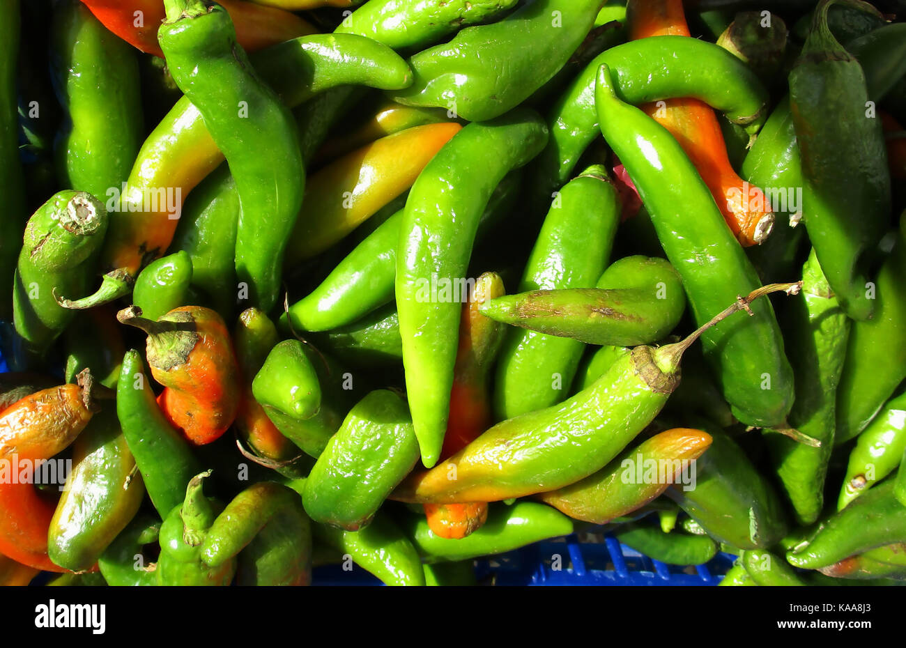 Green chillies hi-res stock photography and images - Alamy