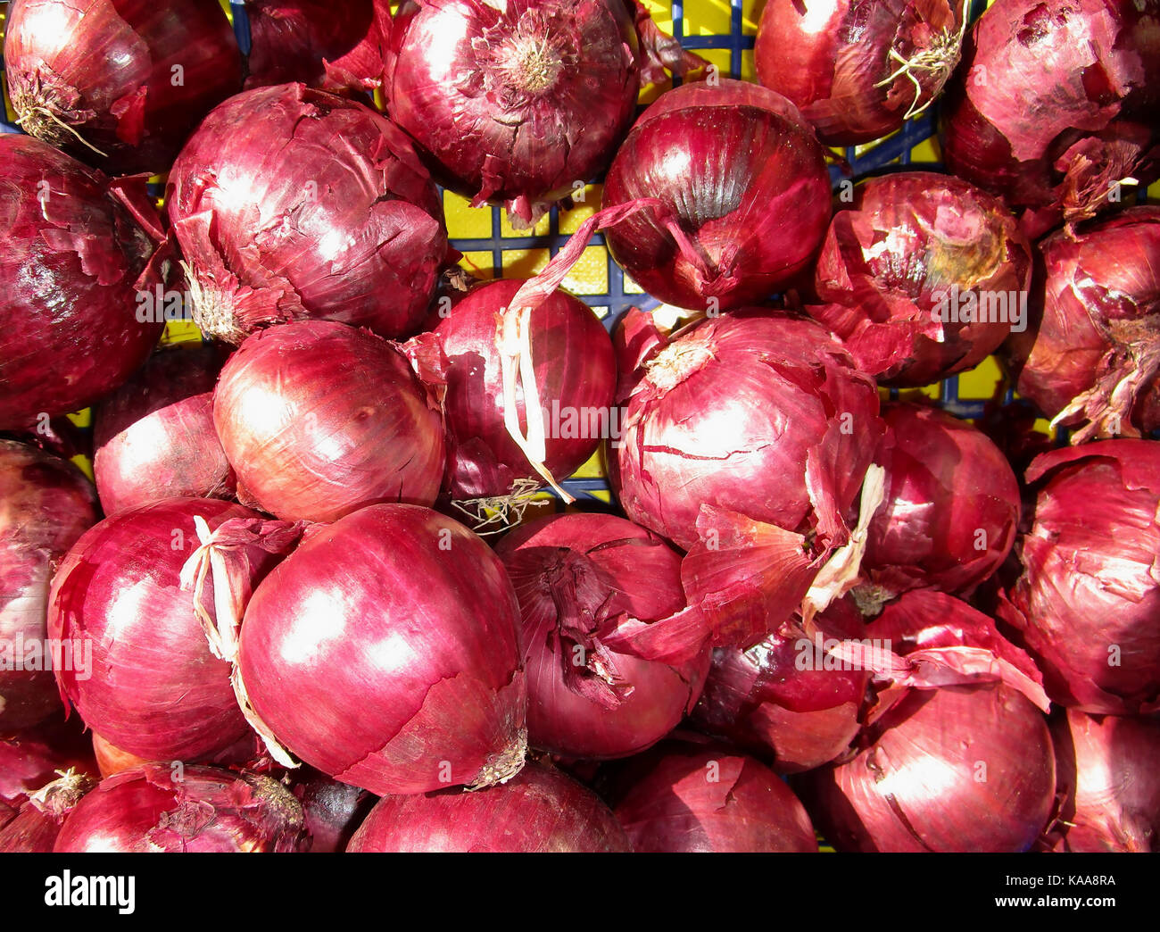 Tropea Onions High Resolution Stock Photography and Images - Alamy