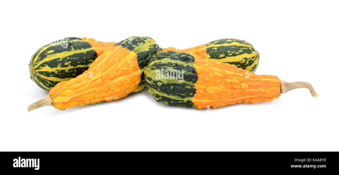Four pear-shaped ornamental gourds with bold orange and green stripes ...