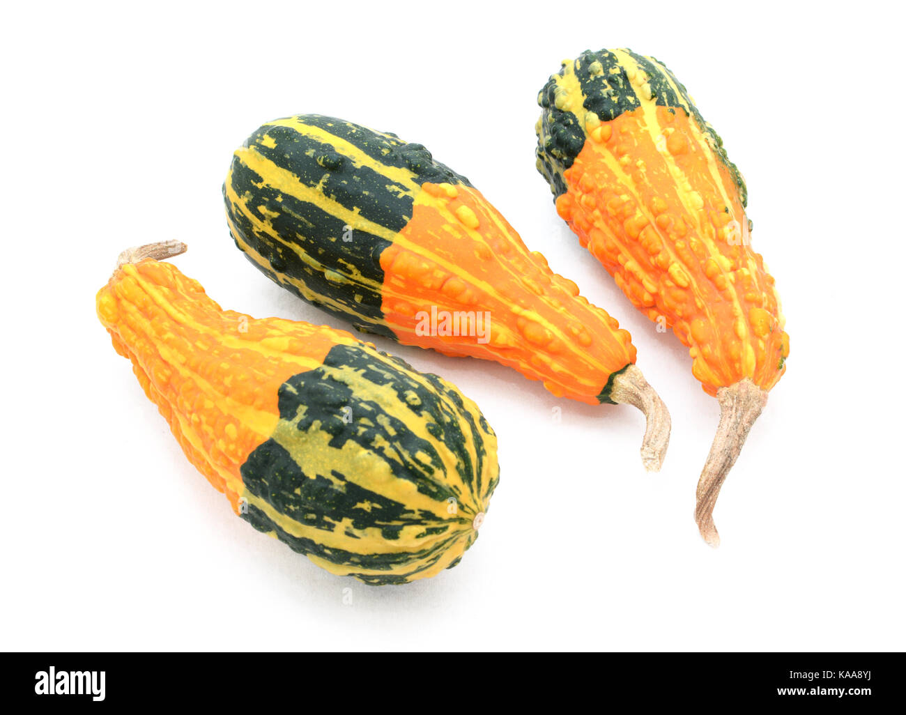 Striped pear gourd hi-res stock photography and images - Alamy