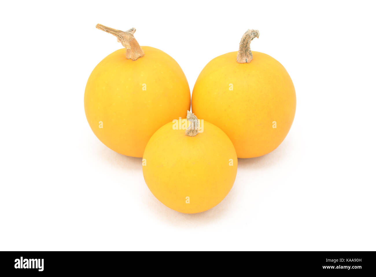 Three smooth-skinned orange ornamental gourds, isolated on a white ...