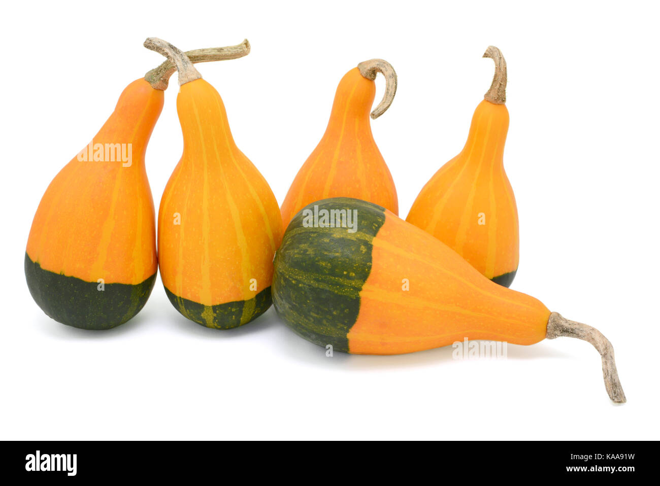 Group of five smooth-skinned, pear-shaped orange and green ornamental ...