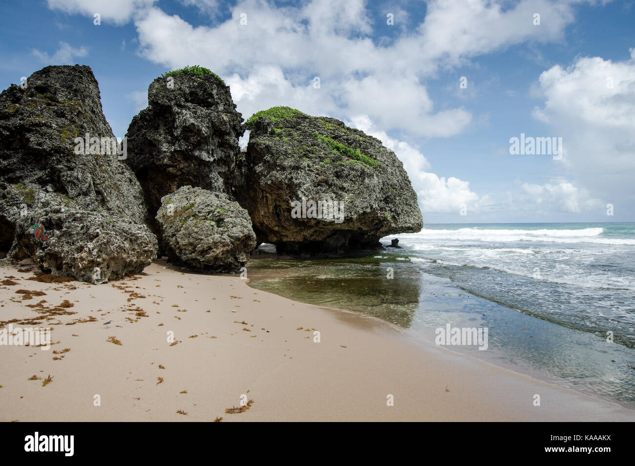 Giant rocks and rock formations near Bathsheba, east coast of Barbados ...