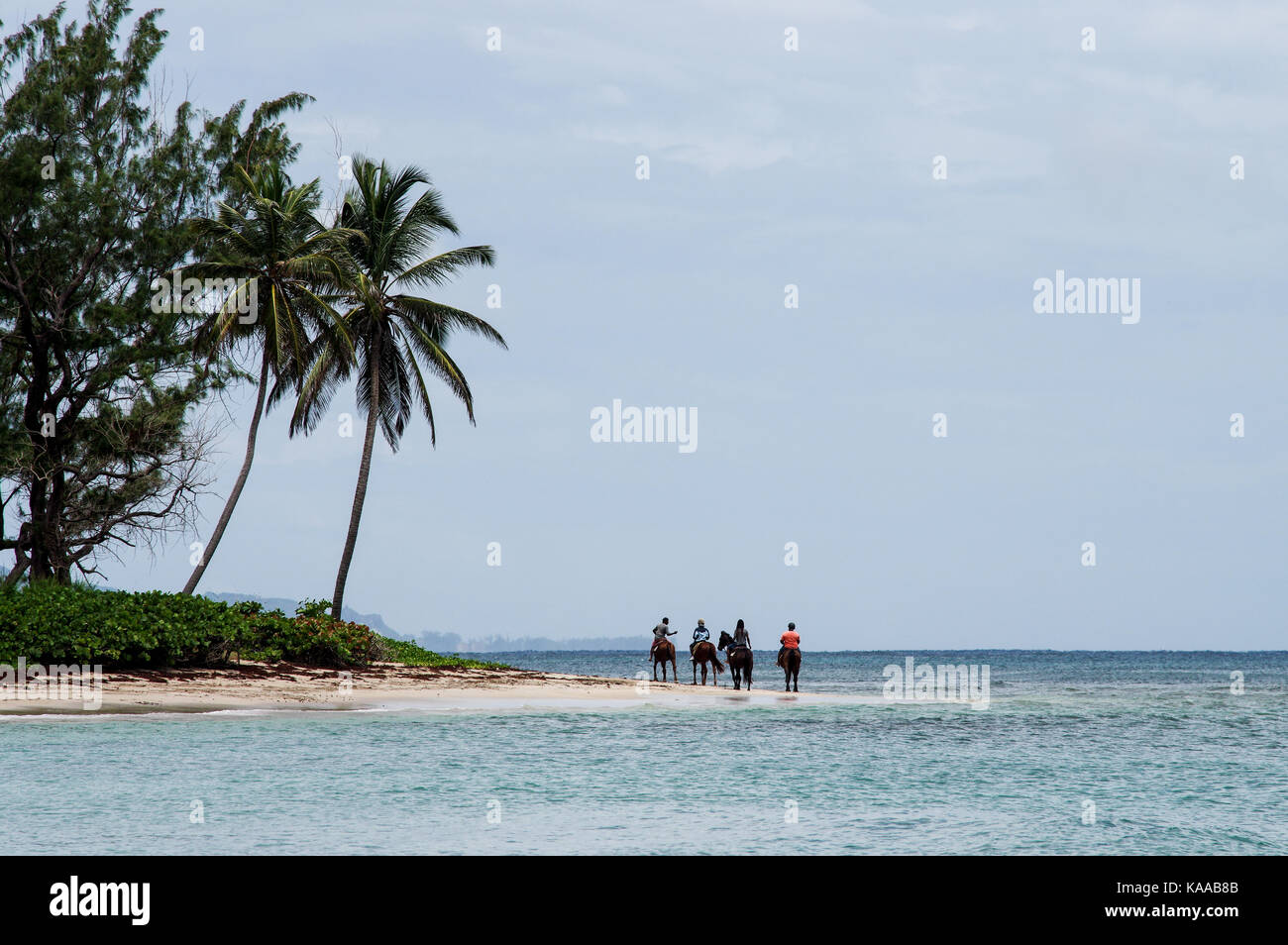 Horse riding on Bath Beach on the east coast of Barbados Stock Photo ...