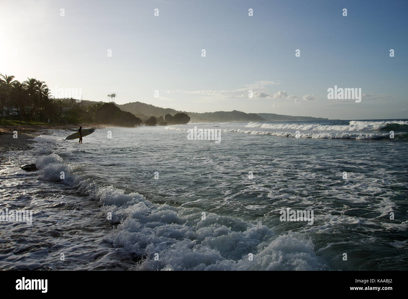 Barbados bathsheba surfer hi-res stock photography and images - Alamy