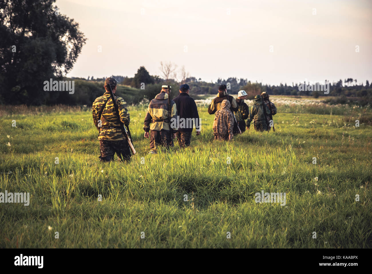 Hunting scene with group of men hunters going through tall grass on ...
