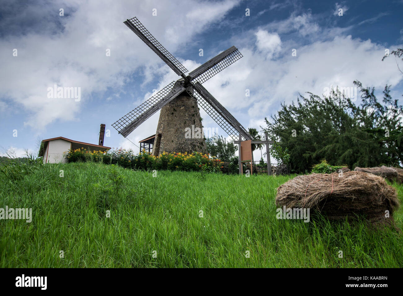 Morgan Lewis Windmill in St. Andrew, Barbados - one of only two working ...