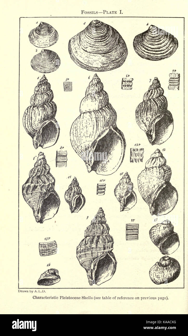 Page 208 of the publication 'The Canadian Ice Age' provides information ...