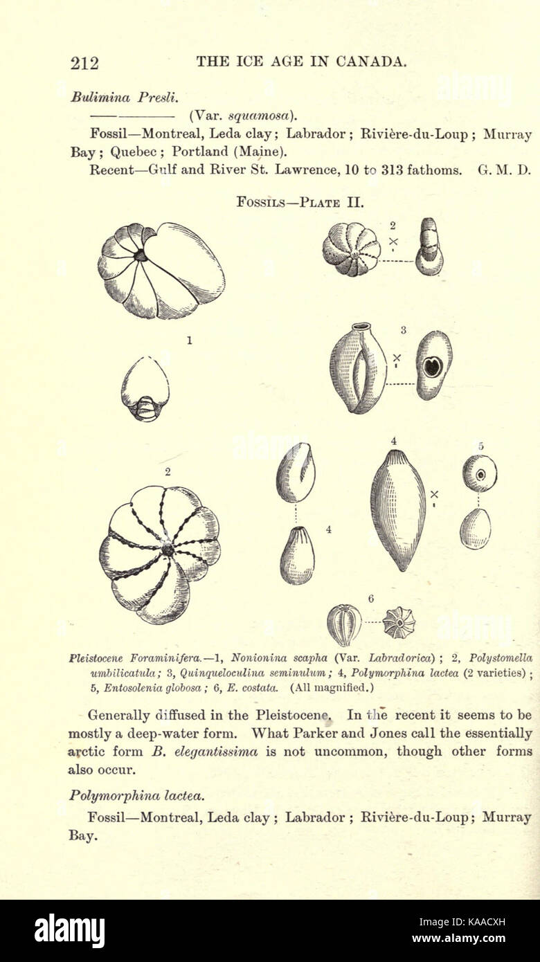 The Canadian ice age (Page 212) BHL24228718 Stock Photo - Alamy
