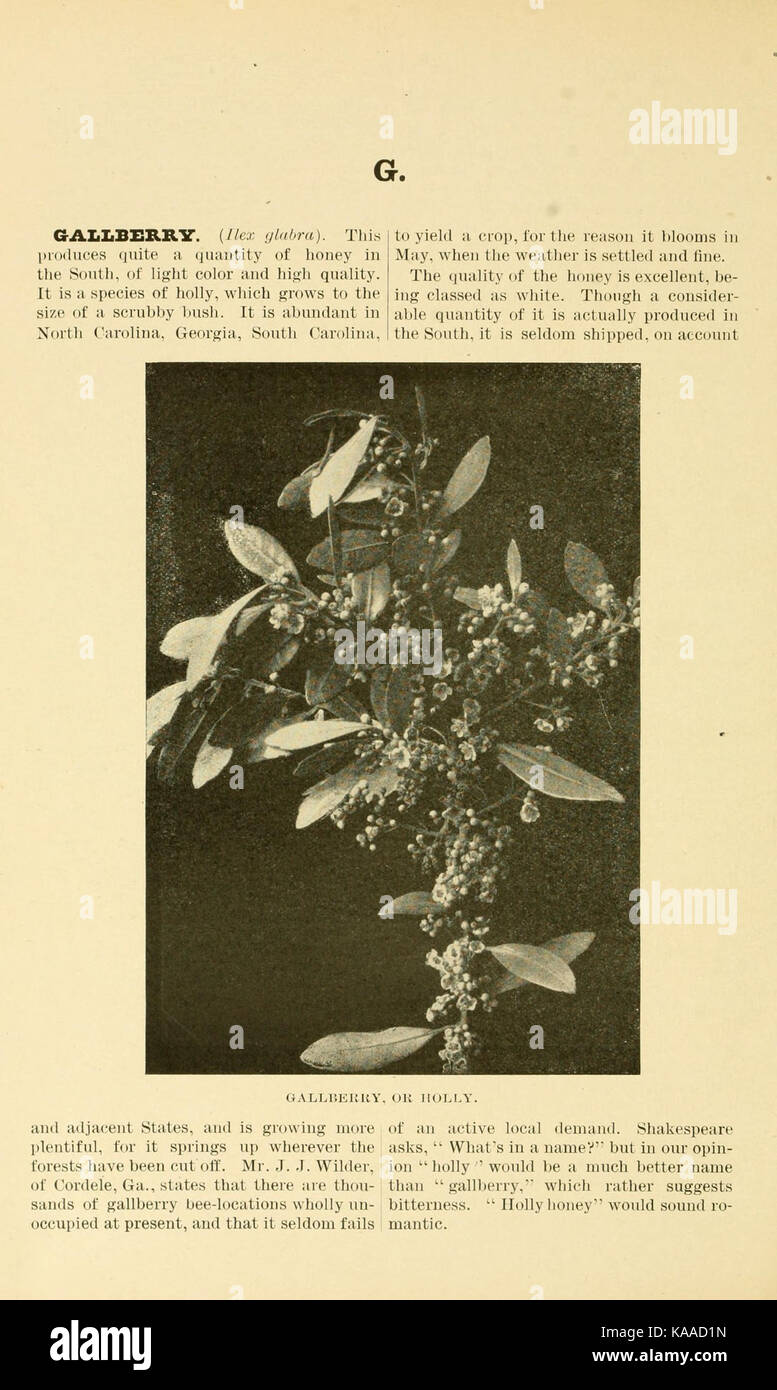 This page from 'The ABC and XYZ of Bee Culture' covers the basics of ...