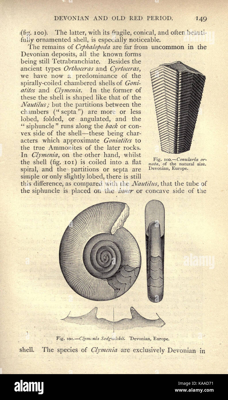 'The Ancient Life History of the Earth' offers insights into the ...