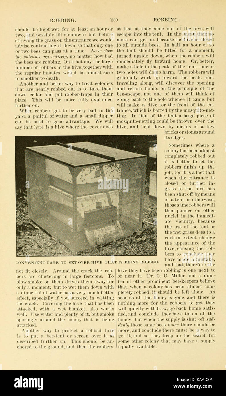 This photograph features a page from *The ABC and XYZ of Bee Culture ...