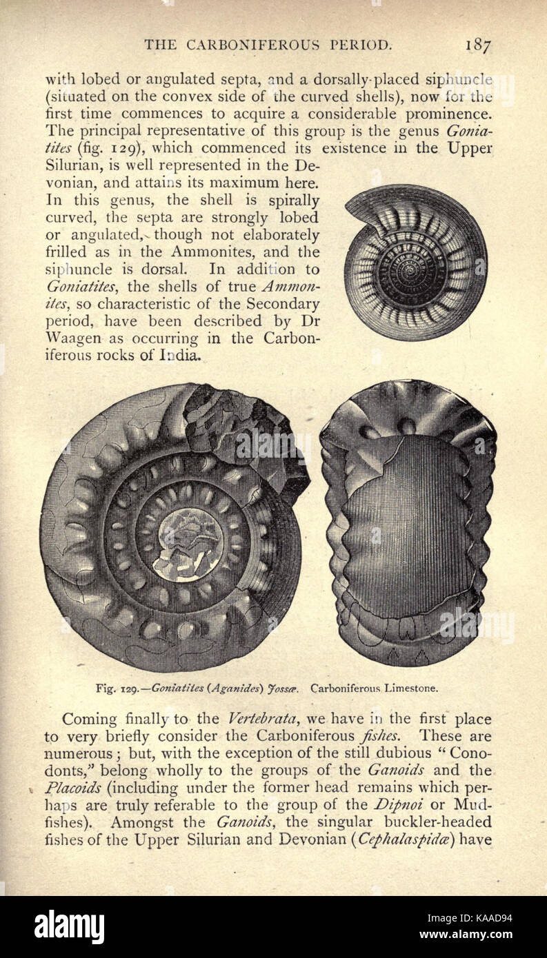 This page from the book 'The Ancient Life History of the Earth' depicts ...