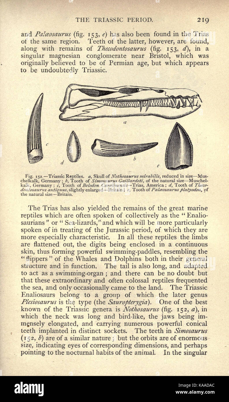 The ancient life history of the earth (Page 219) BHL16763953 Stock ...