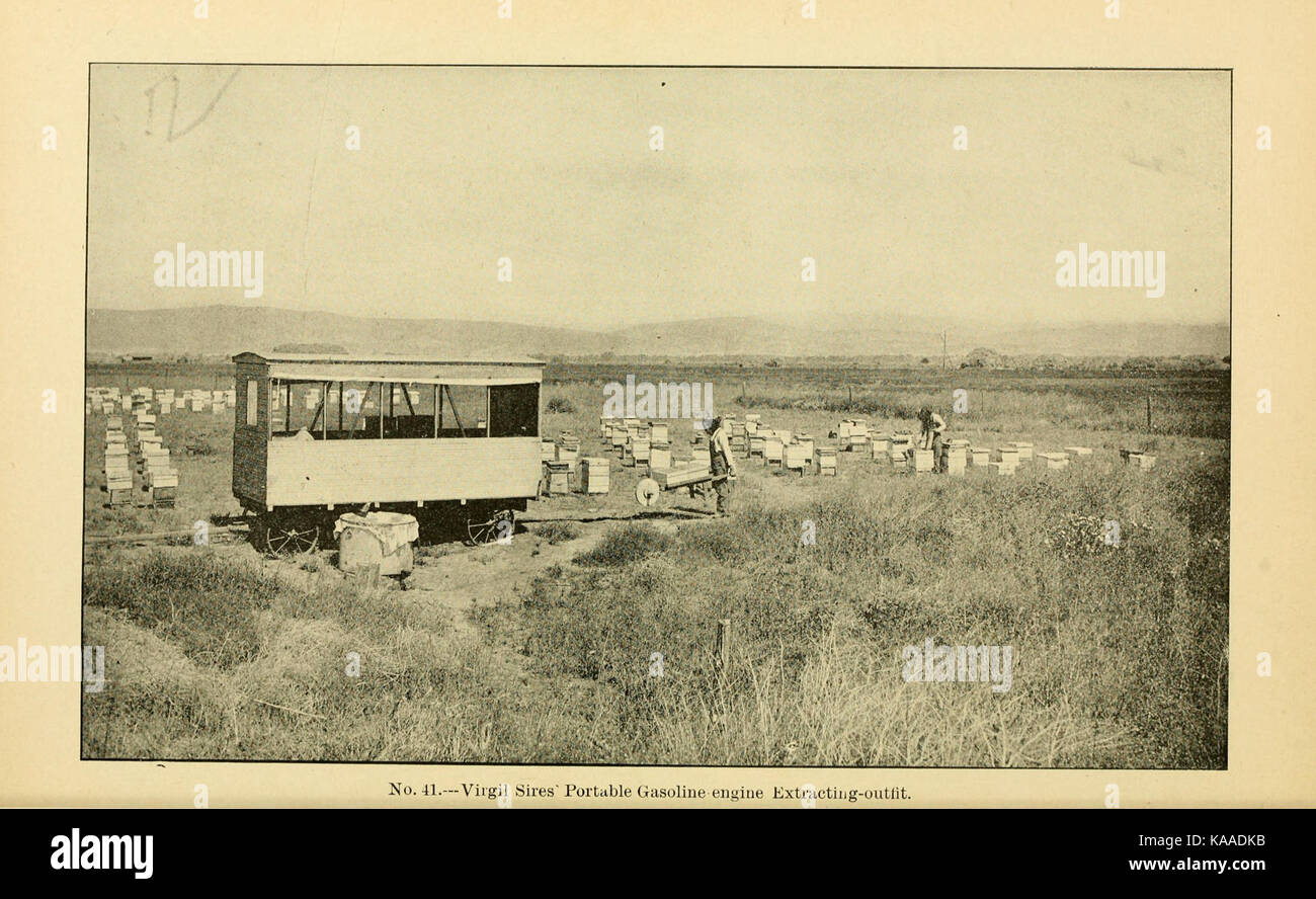 This image is from *The ABC and XYZ of Bee Culture*, a comprehensive ...