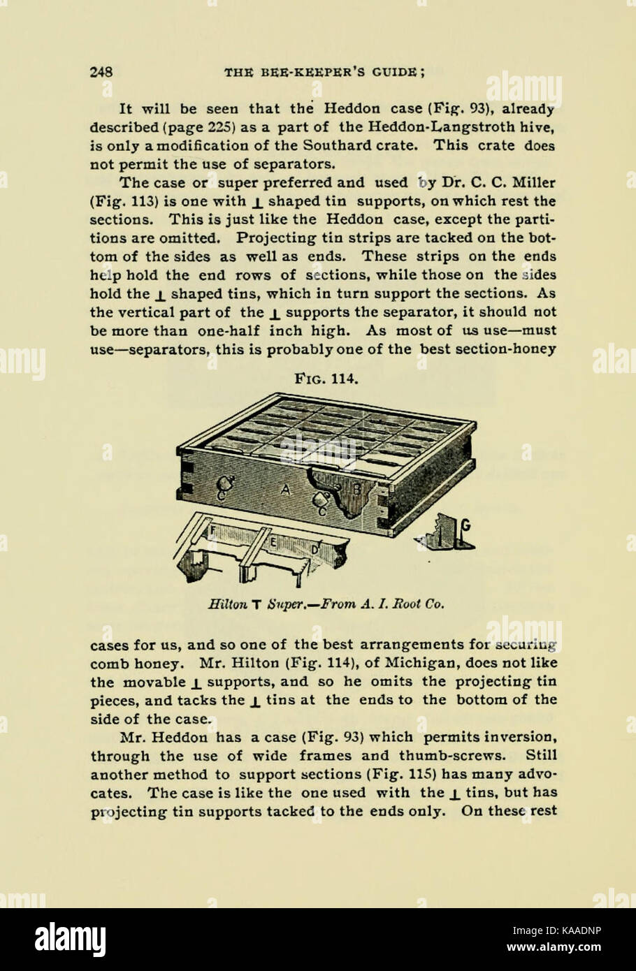 The bee keeper's guide (Page 248) BHL18188923 Stock Photo - Alamy