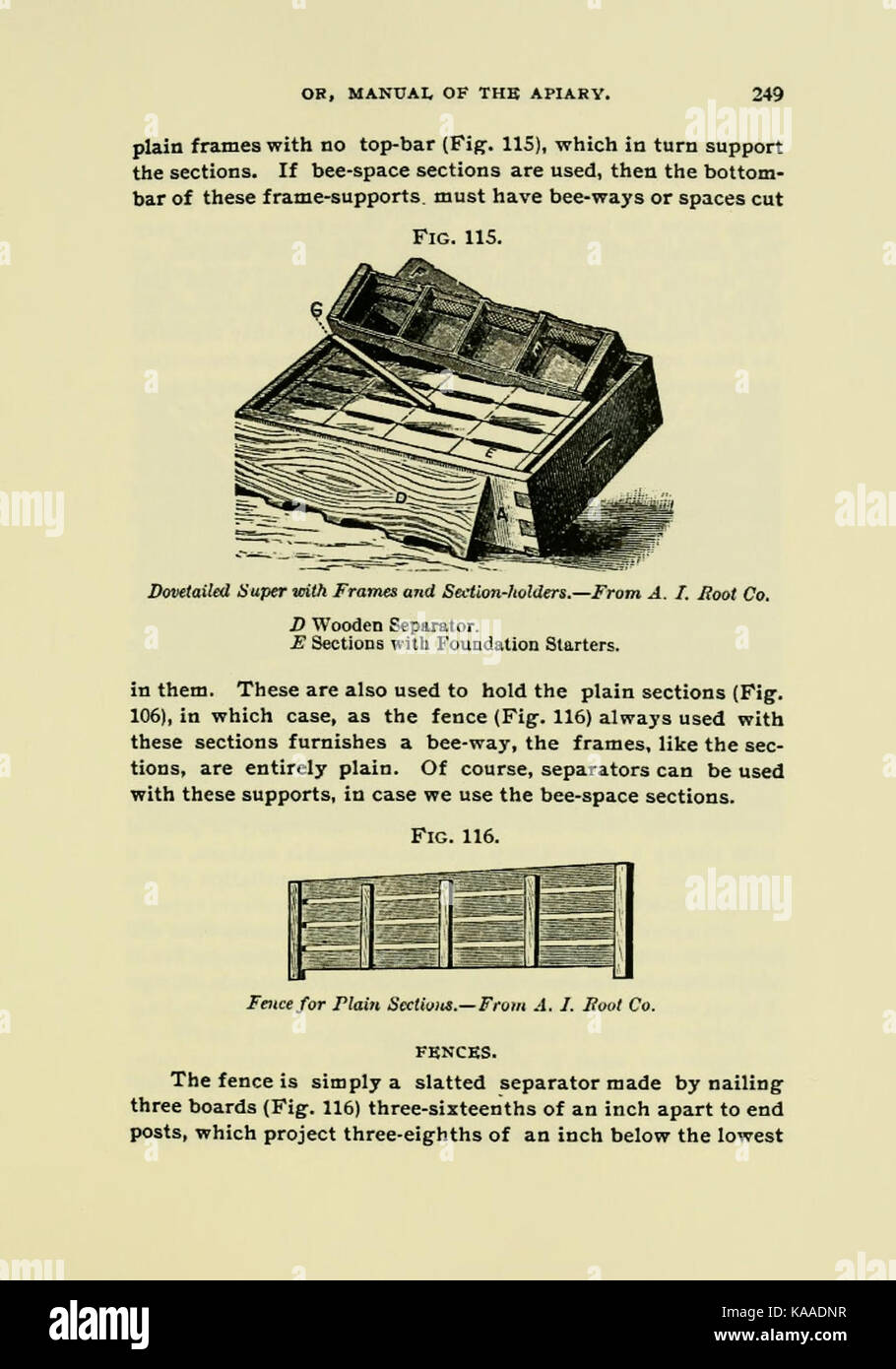 The bee keeper's guide (Page 249) BHL18188924 Stock Photo - Alamy